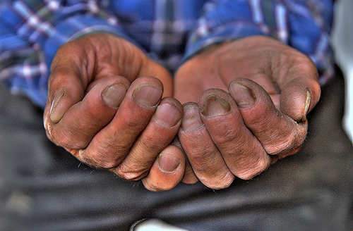 El Resimleri (1. Katalog) - Sayfa 13