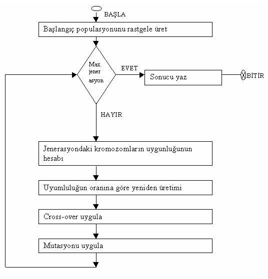 Genetik Algoritmalar