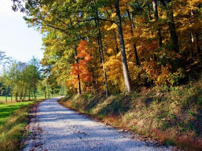 Yollar - Yol Resimleri (1. Katalog) - Sayfa 31