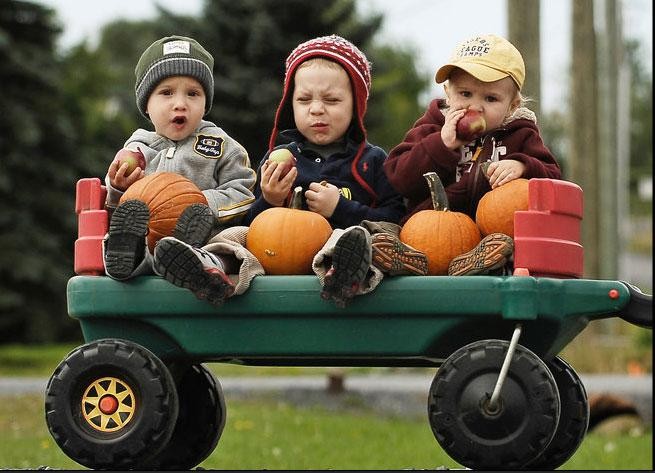 Çocuk Resimleri (4. Katalog) - Sayfa 44