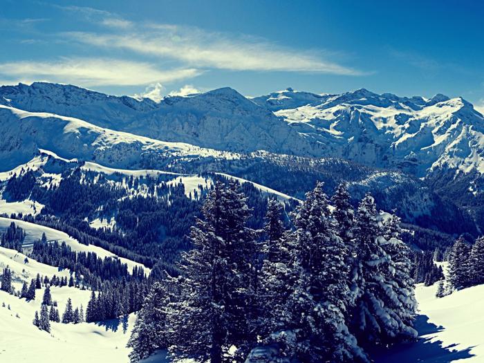 Mevsim Resimleri - Sayfa 37