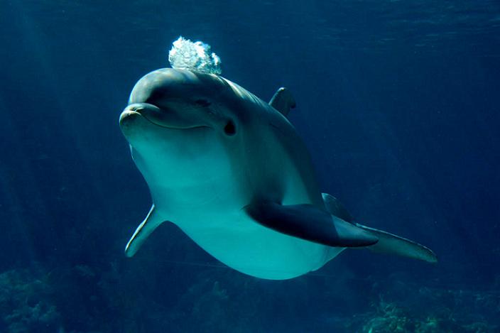 Yunus Resimleri - Sayfa 2