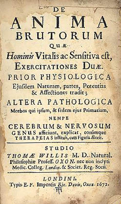 Aleksandros (Latin Filozof) Kimdir, Hayatı ve Resimleri