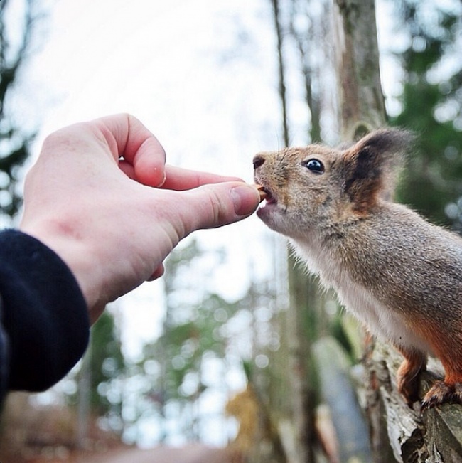 Sincap Resimleri - Sayfa 17