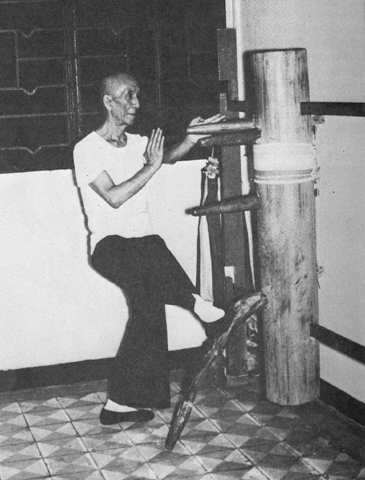Yip Man Kimdir, Hayatı ve Resimleri