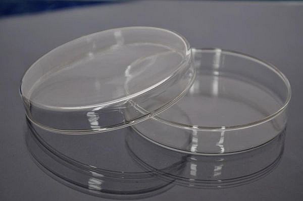 Julius Richard Petri Kimdir, Hayatı ve Resimleri