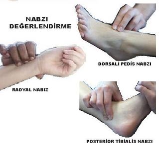 Nabız Nedir?