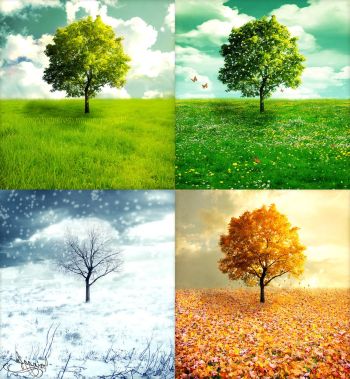 Mevsim - Mevsimlerin Oluşması