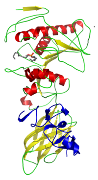 Lipaz ve Lipaz Türleri