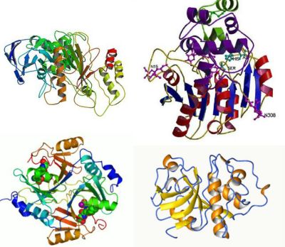 Lipaz ve Lipaz Türleri