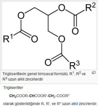 Trigliserit Nedir?
