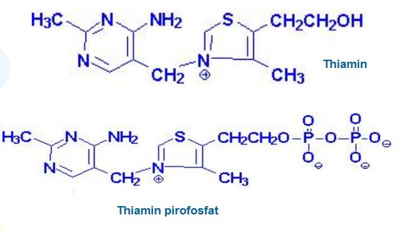 Vitaminler - B1 Vitamini (Tiamin)
