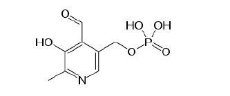 Vitaminler - B6 Vitamini (Piridoxin)