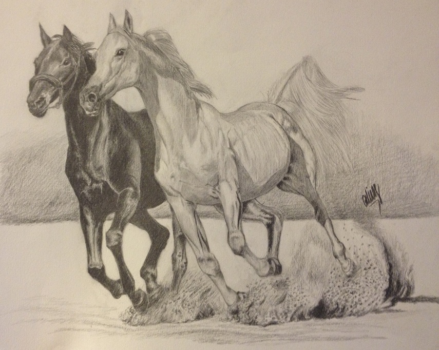 At Resimleri -3- - Sayfa 30