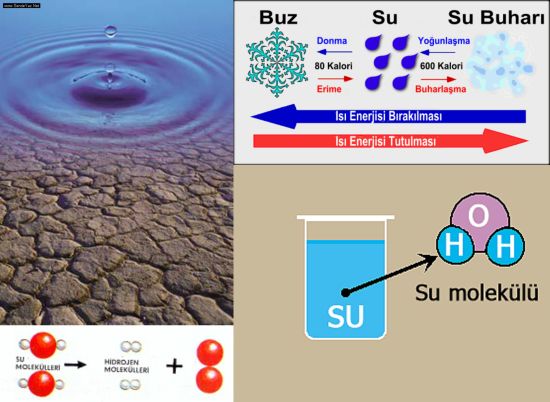 Su, Suyun Önemi, Kimyasal ve Fiziksel Özellikleri