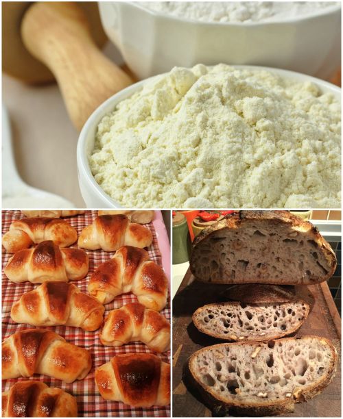 Un Nedir? Un Ne Demek, Anlamı ve Tanımı