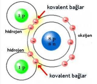 [KK] Kovalent Bağ - MsXLabs