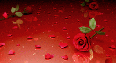 Hareketli Gifler (4. Katalog)