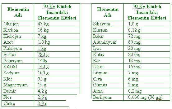 Element Nedir? Elementler Hakkında Genel Bilgiler