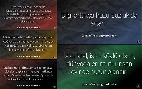 Johann Wolfgang von Goethe Kimdir, Hayatı ve Resimleri