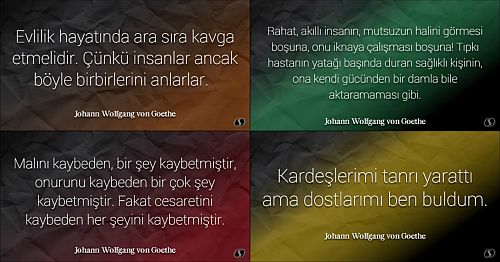 Johann Wolfgang von Goethe Kimdir, Hayatı ve Resimleri