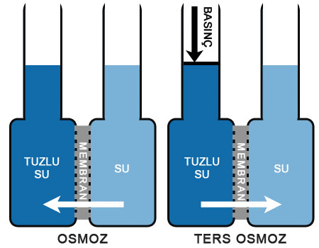 Osmoz (Geçişme). Osmotik Basınç