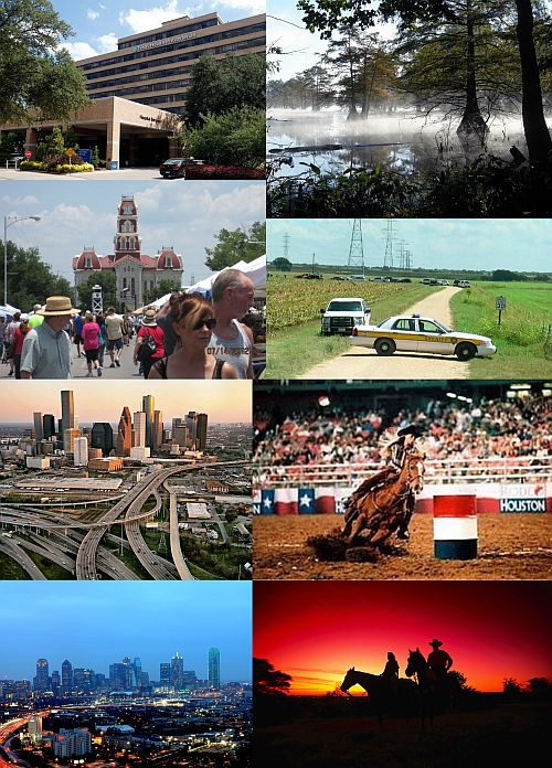 Teksas (Texas)