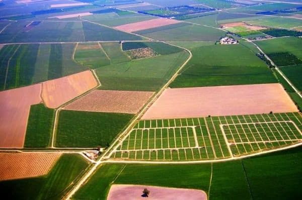 Türkiye'nin Ovaları - Çukurova