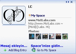 MSN Space - MSN Spaces - Windows Live Space Hakkında Her Şey (MSN Space)
