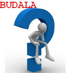 Budala Nedir? Budala Ne Demek, Anlamı ve Tanımı